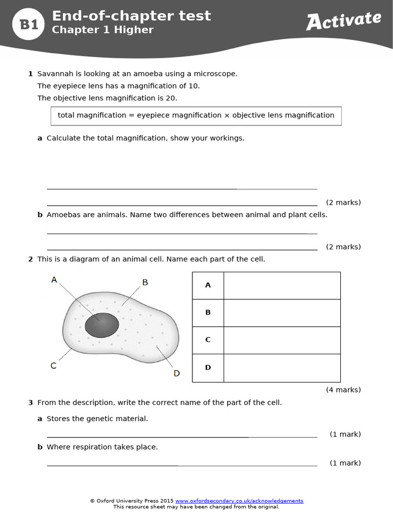 Activate Cells, Transport and Organisation Test | PDF | Biology