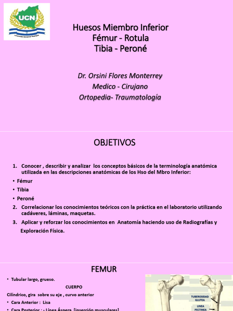 2 Femur Tibia Perone | PDF | Extremidades (anatomía) | Anatomía del ...