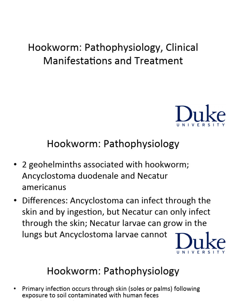 Hookworm Pathophysiology and Treatment | PDF | Diseases And Disorders ...