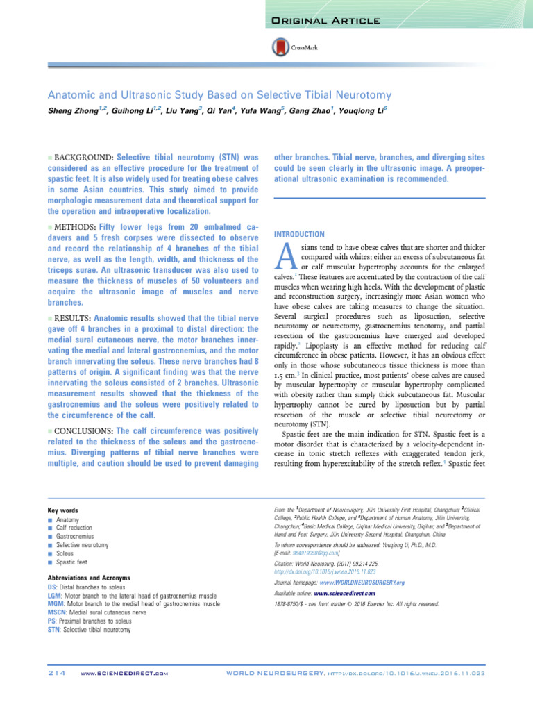 Anatomic and Ultrasonic Study Based On Selective Tibial Neurotomy | PDF ...