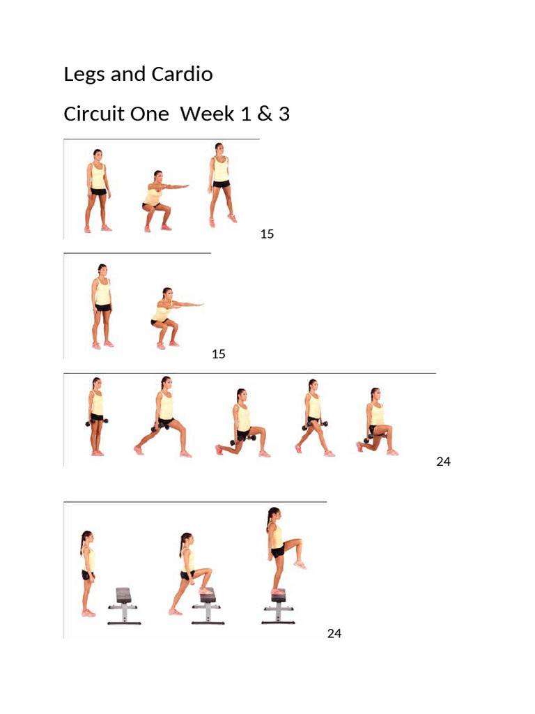 Circuit One Week 1 | PDF