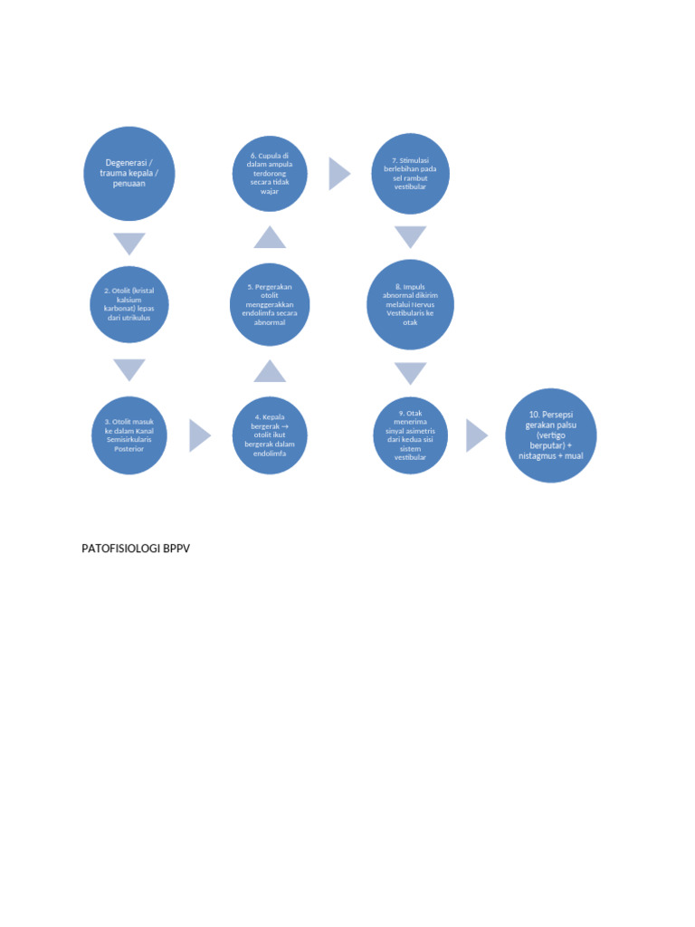 Diagram Patofisiologi Vertigo Sentral Dan Perifer | PDF