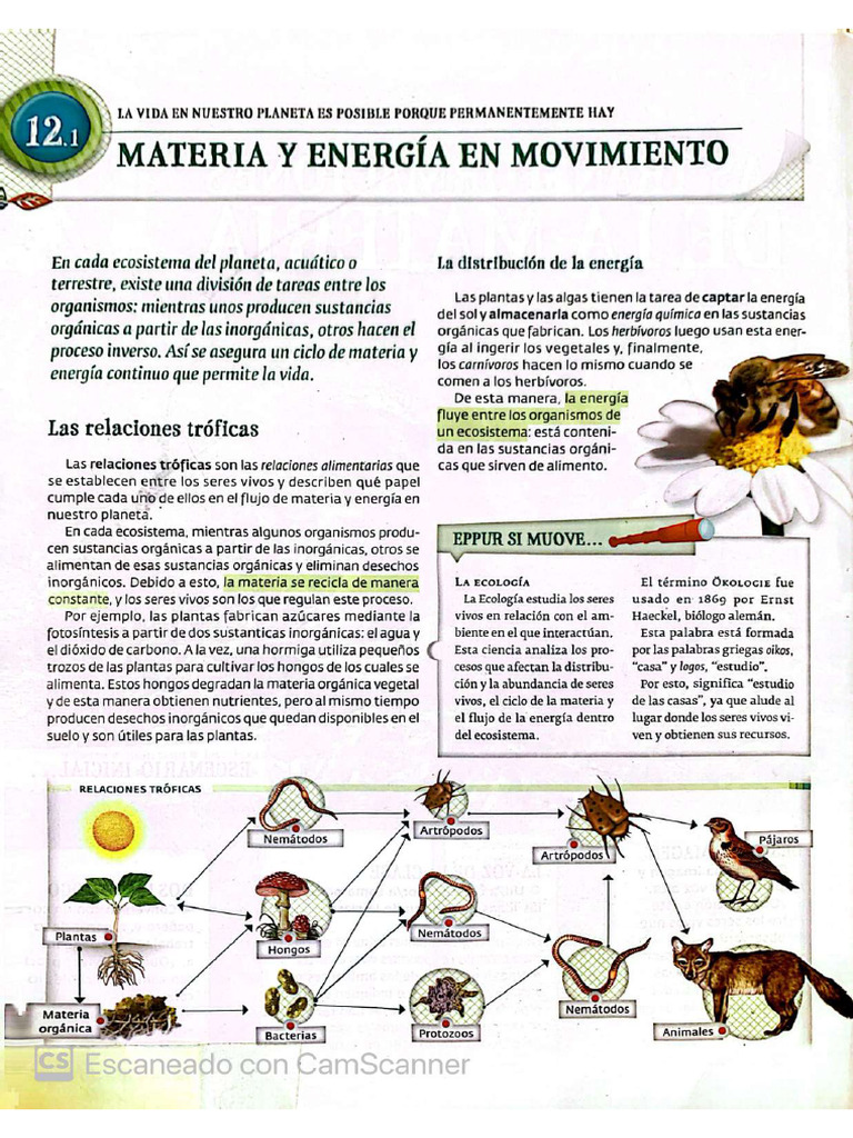 Materia y Energía en Movimiento - 1 | PDF