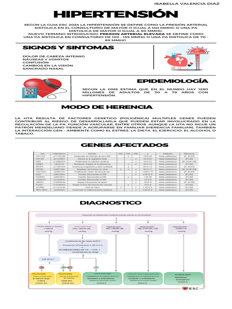 Infografía Hta | PDF