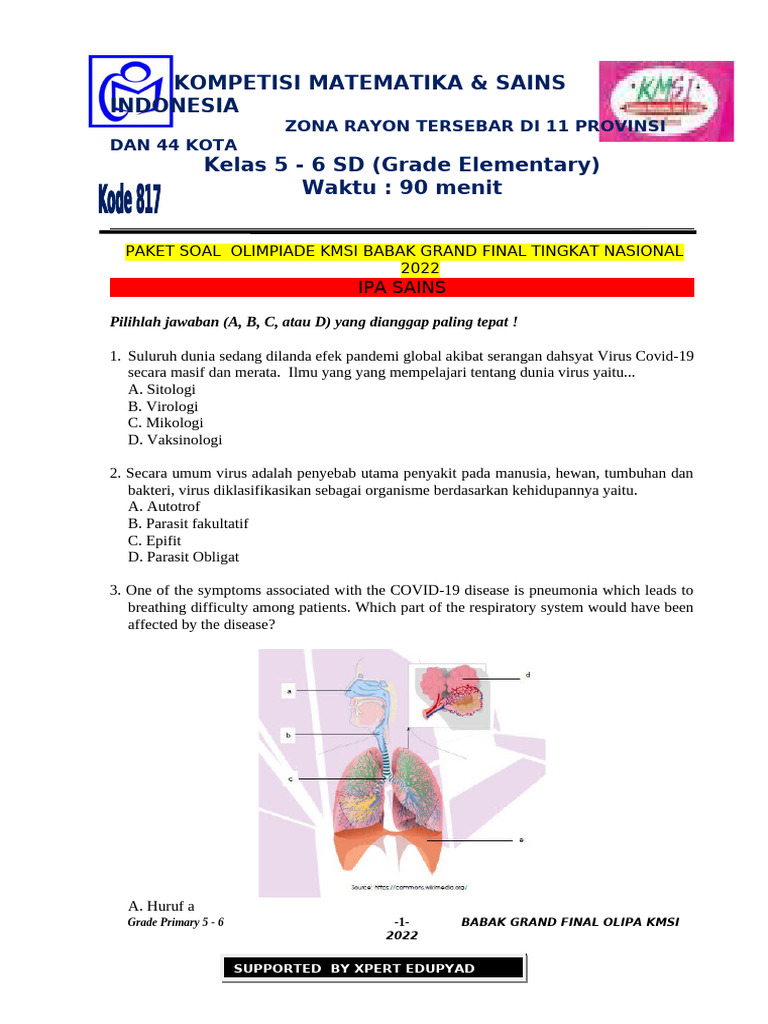 Soal Grand Final KMSI 2022 SD | PDF