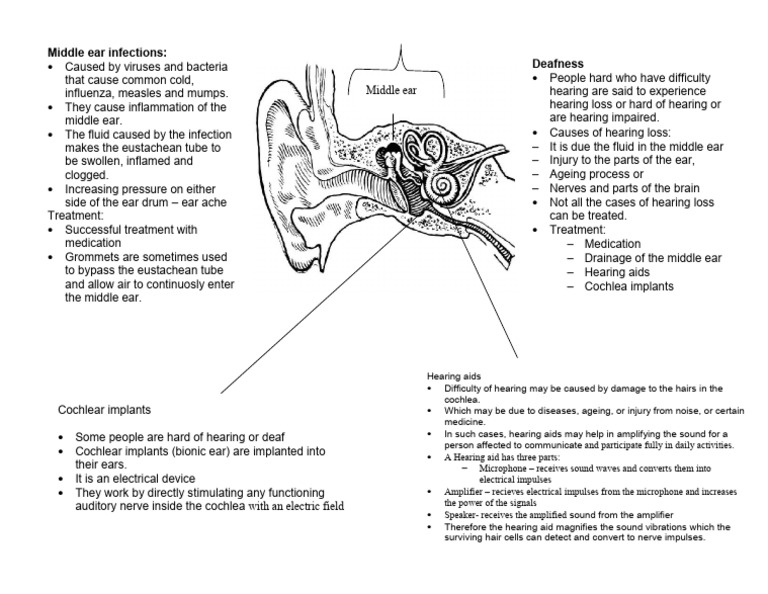 An Ear With Hearing Defects | PDF | Hearing Loss | Ear