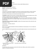 Insect Body Segmentation Guide | PDF | Insects | Arthropodology