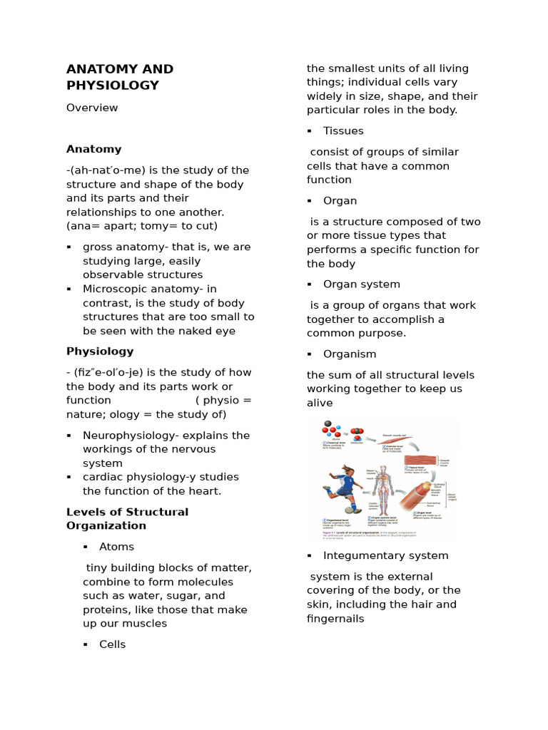 Anaphy Overview | PDF