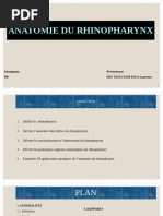 Anat Physio ORL | PDF | Oreille | Système vestibulaire