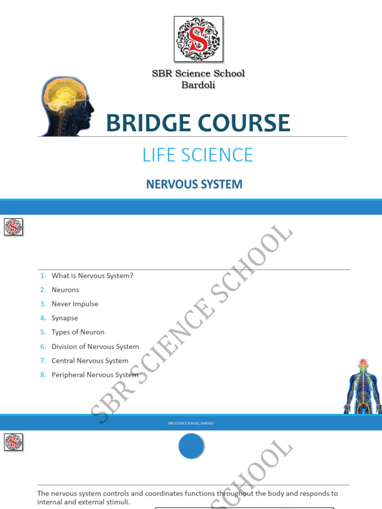 Life Science-Nervous System | PDF | Nervous System | Neuron