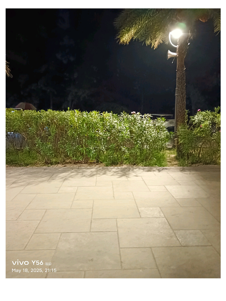 PDFGallery 20250518 211628 | PDF