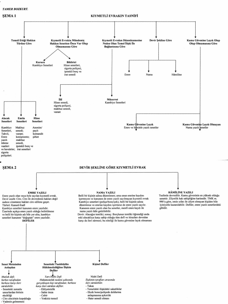 Tamer-Kiymetli Evrak 1299242968 | PDF