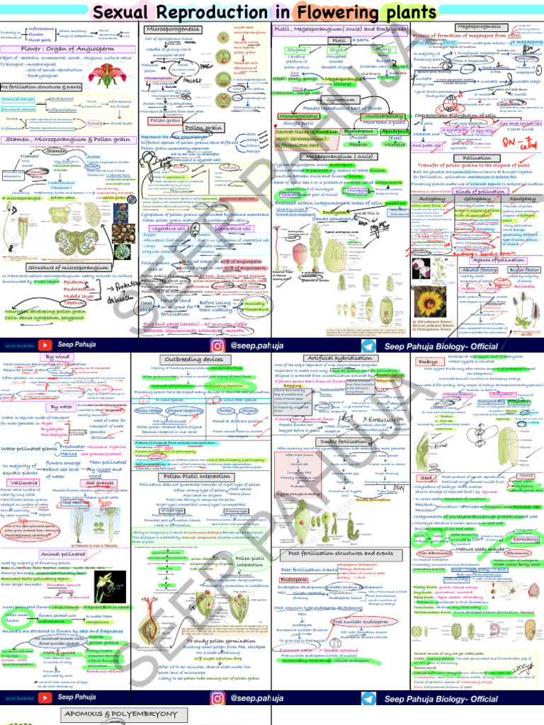 SRFP - Mind Maps - Watermark (1) by DJ Andi | PDF | Flowers | Pollen