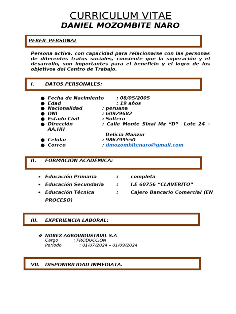 CV DANIEL MOZOMBITE NARO | PDF