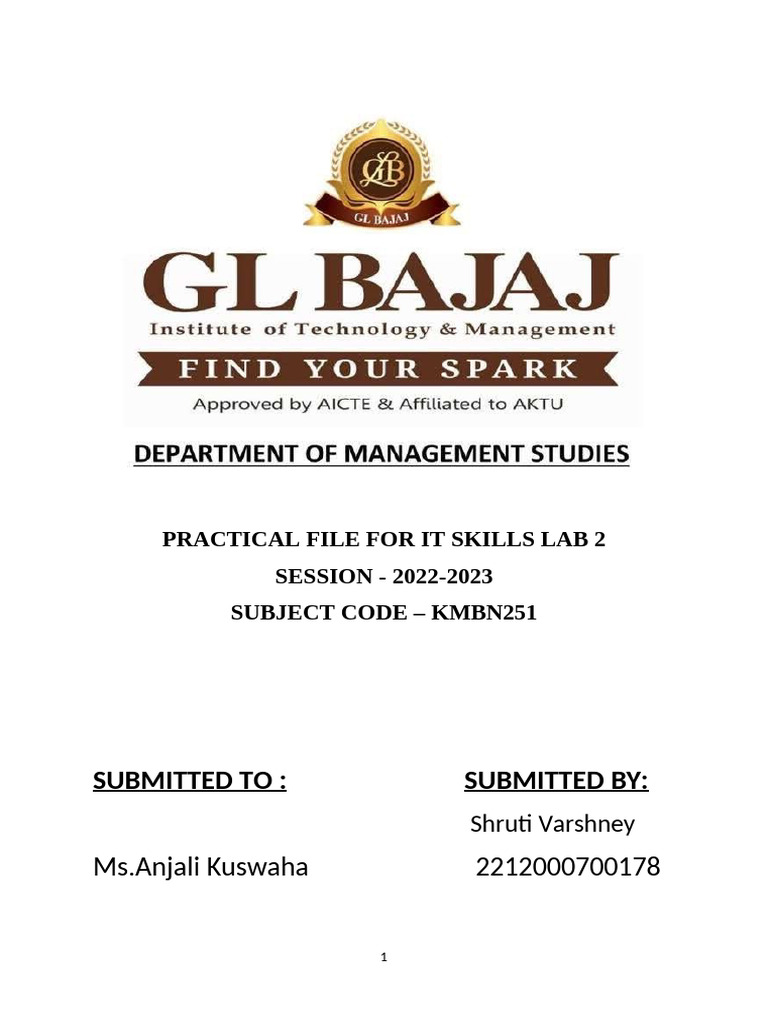 It - Practical - SHRUTI JI 2 | PDF | Microsoft Excel | Computing