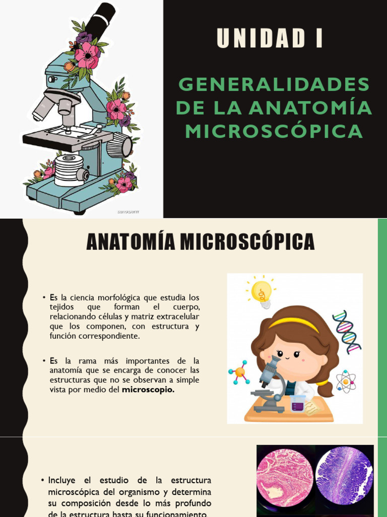 Anatomía Microscópica y Tipos de Microscopios | PDF | Microscopio | Tinción