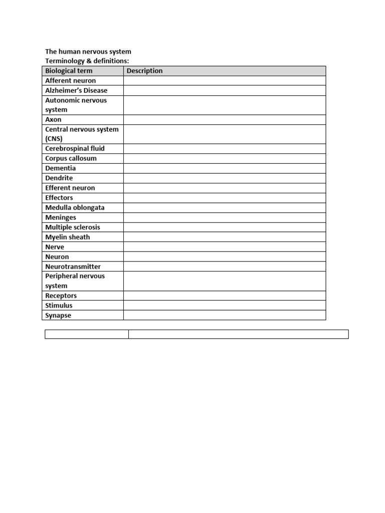 Term List - The Human Nervous System-1 | PDF