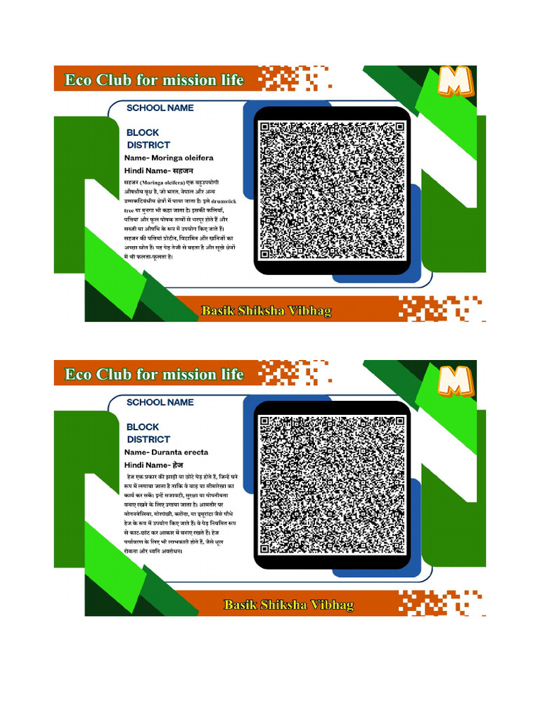 Flora QR CODES SRG Team | PDF