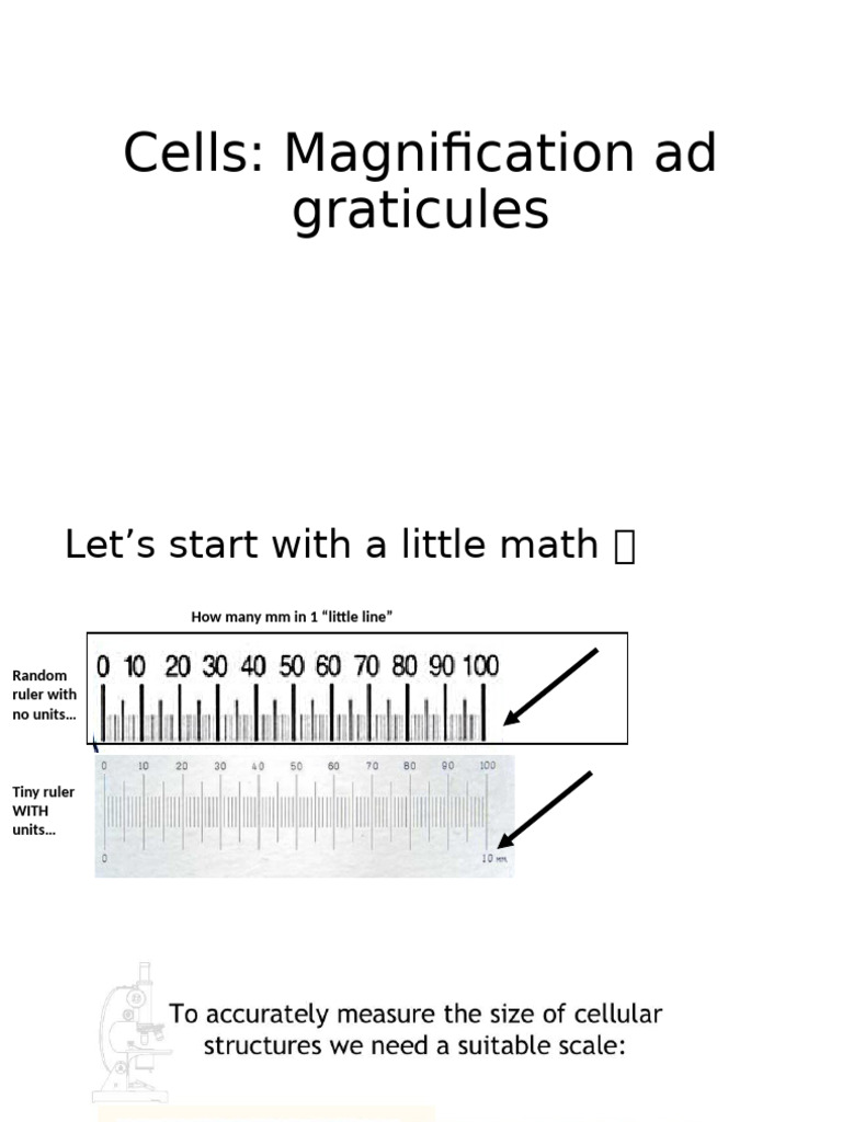 Cells Maginification Graticule | PDF