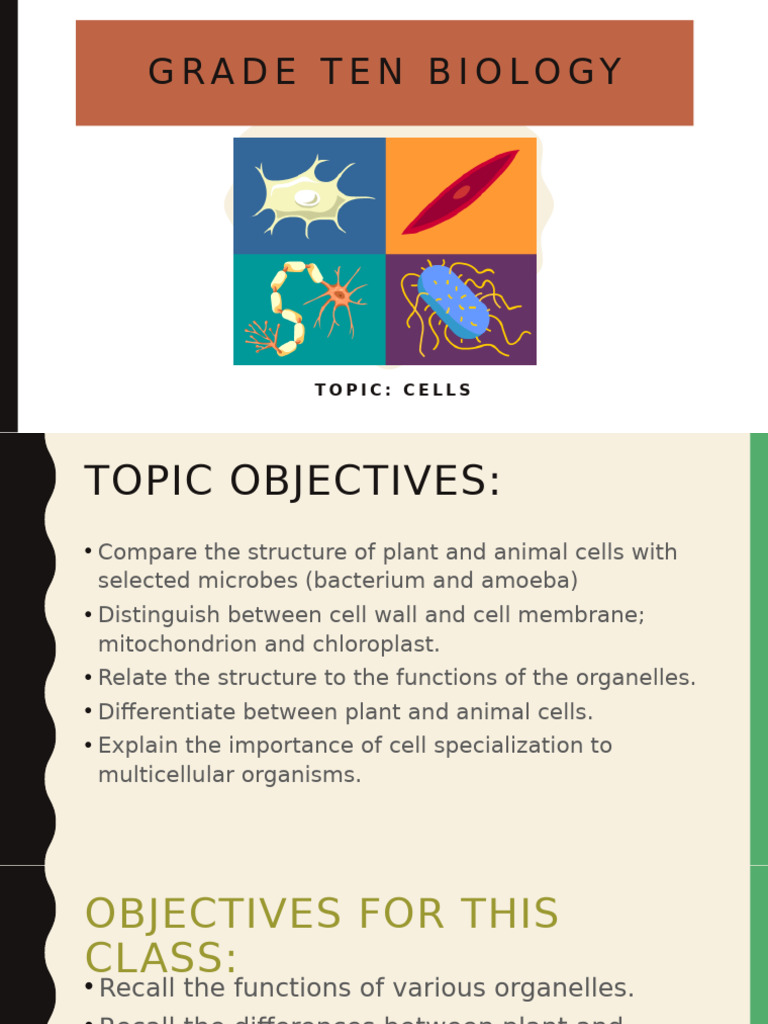 Grade 10 Biology: Cells Comparison Guide | PDF