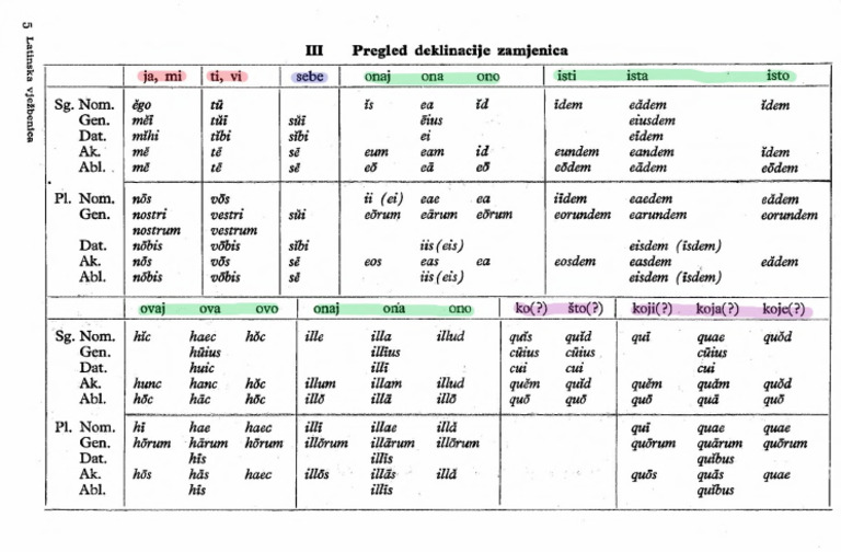 Zamjenice - latinski | PDF