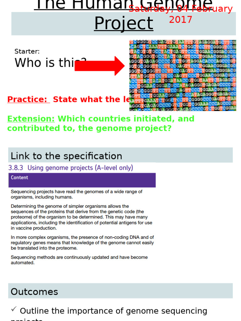 The-Human-Genome-Project | PDF | Human Genome | Gene