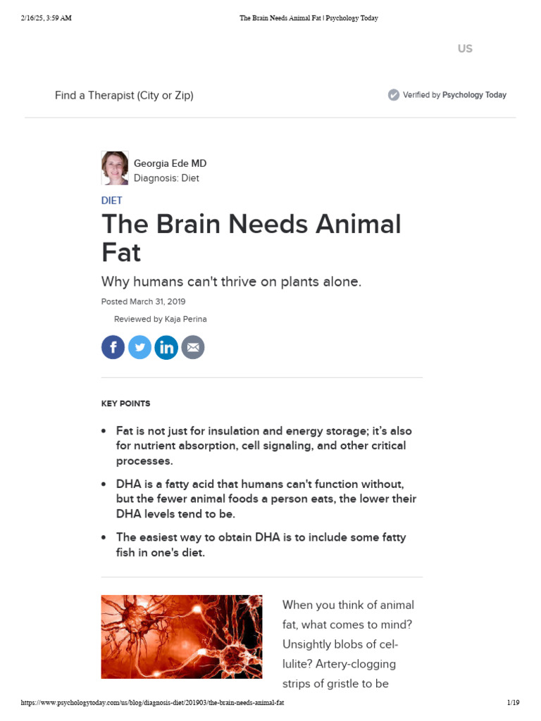 The Brain Needs Animal Fat - Georgia Ede | PDF | Omega 3 Fatty Acid ...