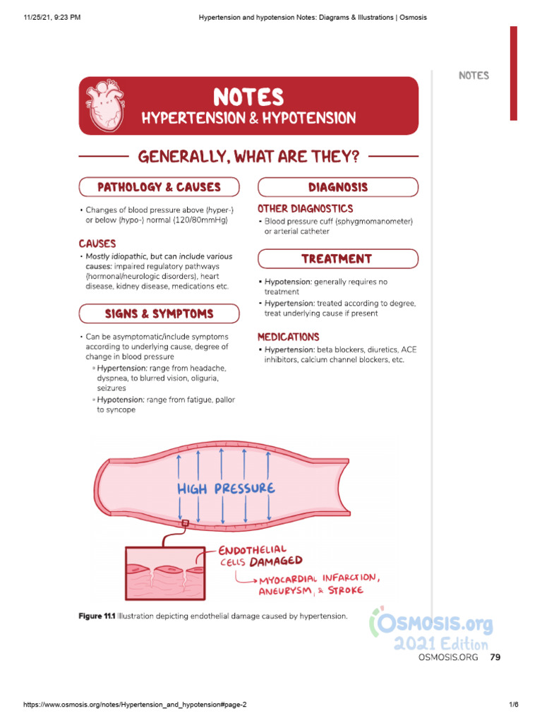 Hypertension and Hypotension Notes - Diagrams & Illustrations - Osmosis ...