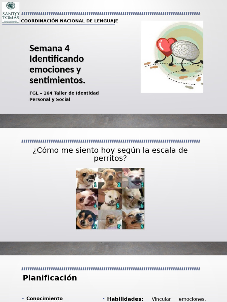 1 - 4 - Pres - Identificando Emociones y Sentimientos Modificado | PDF ...