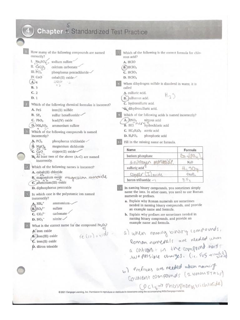 Chapter Standardized Test Practice | PDF