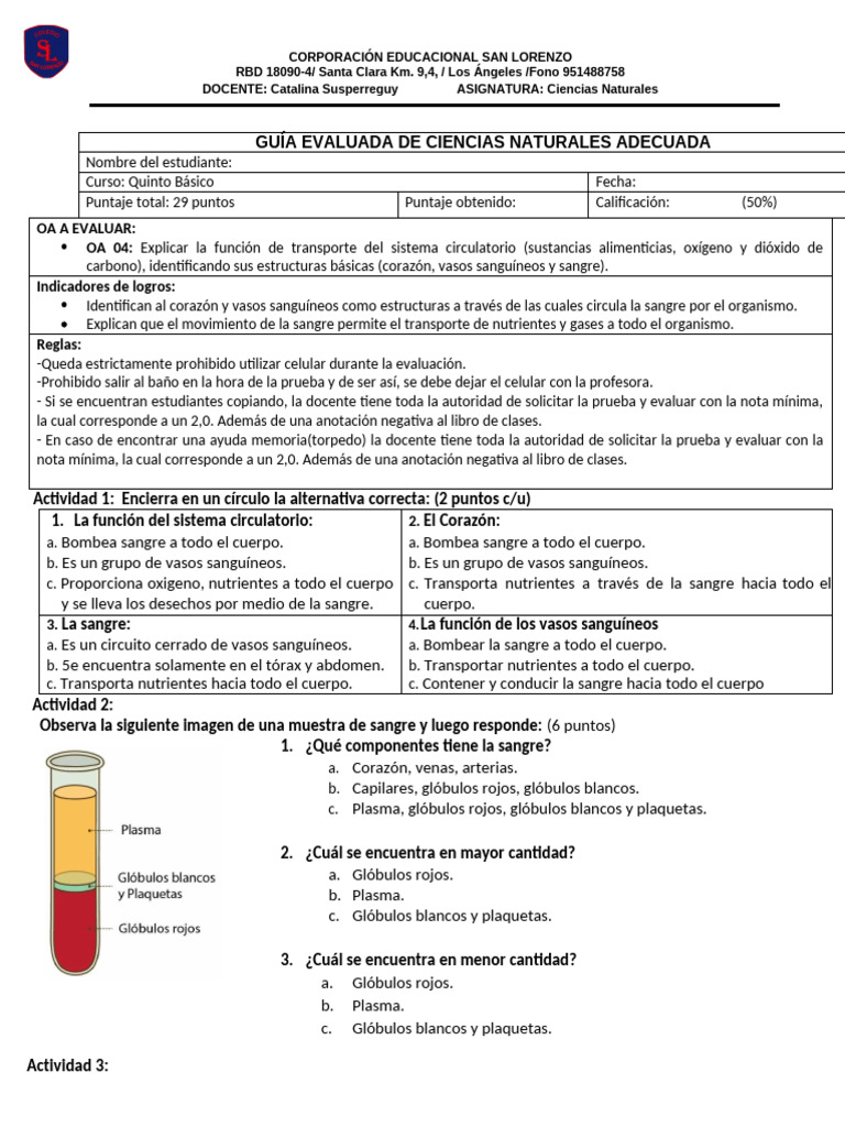 Guía Evaluada Sistema Circulatorio. Parte 1 - Adecuada | PDF | Sangre ...