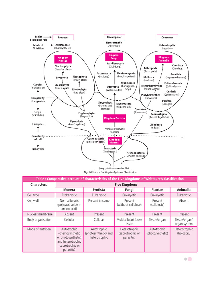 Biology Mind Maps Class 11&Class 12 | PDF | Fruit | Frog