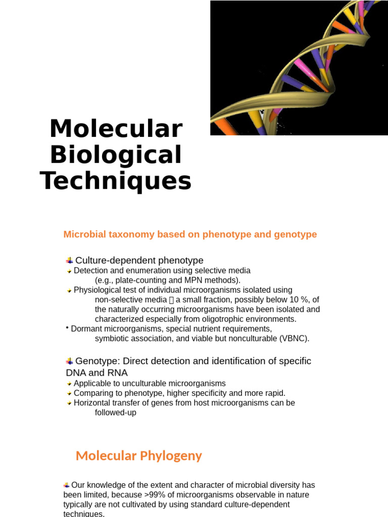 Molecular Biological Technique-Core | PDF | Ribosomal Rna | Nucleic ...