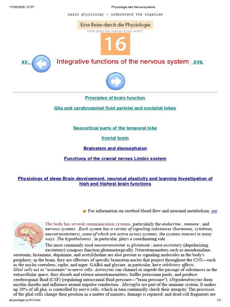 16 Integrative Functions of The Nervous System | PDF | Central Nervous ...
