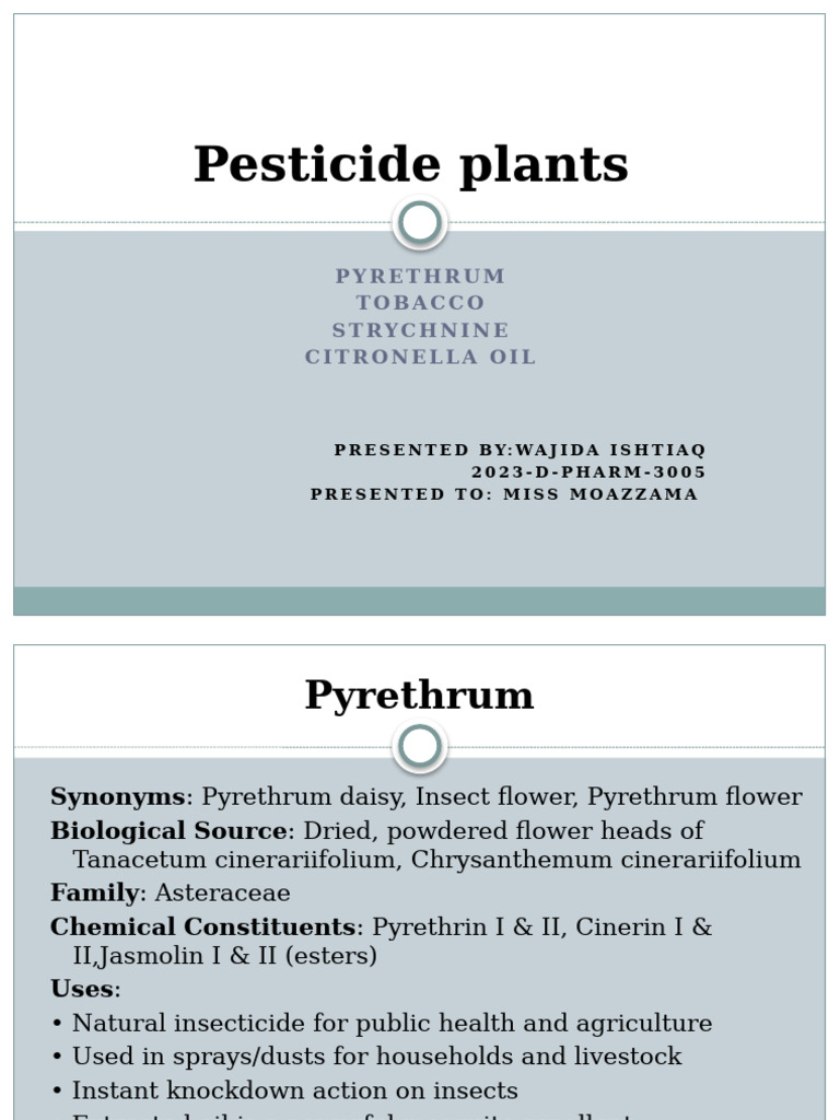 Plant Derived Insecticides Presentation | PDF