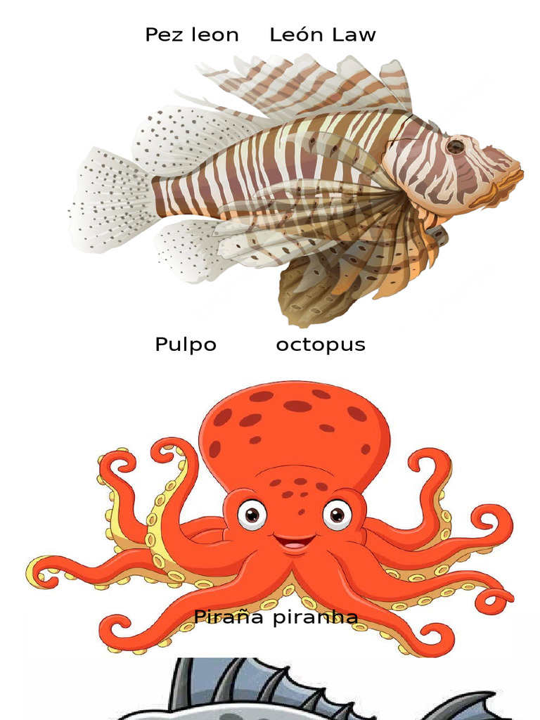 Animales Vilma | PDF