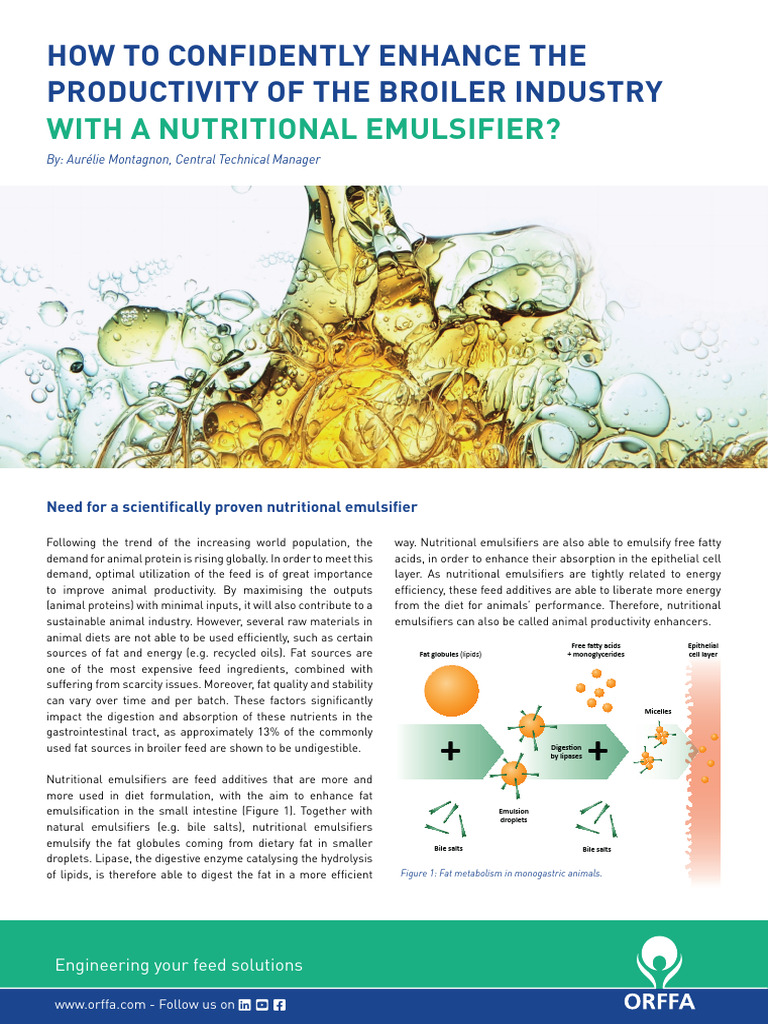 ORF240208-Publication-Excential-Energy-Plus | PDF | Fat | Emulsion
