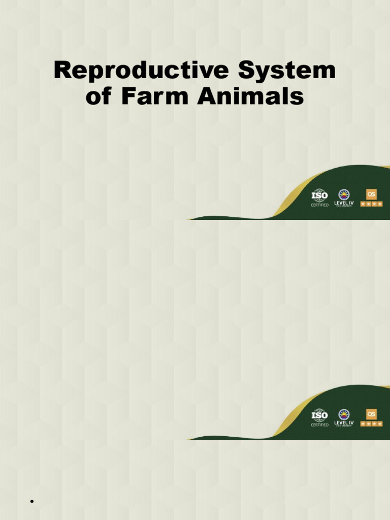 Reproductive Systems of Farm Animals | PDF | Reproductive System ...
