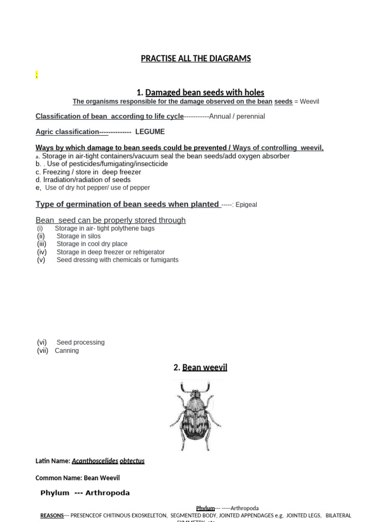 Revision Notes - Pract. Waec Part 1 | PDF | Fruit | Leaf