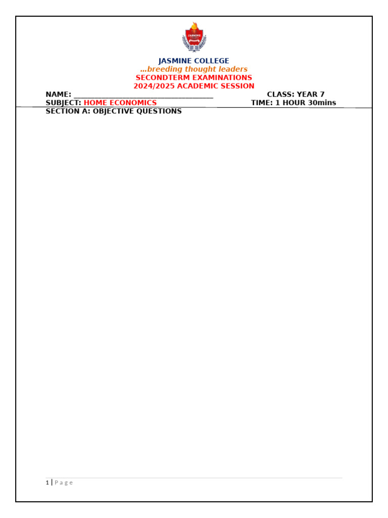 Year 7 Home Economics Exam 2024/2025 | PDF | Sexually Transmitted ...