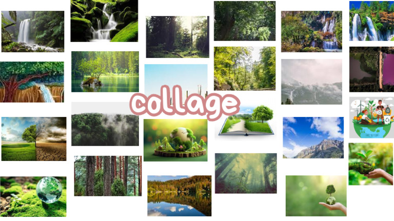 Collage de Elsy Medio Ambiente | PDF
