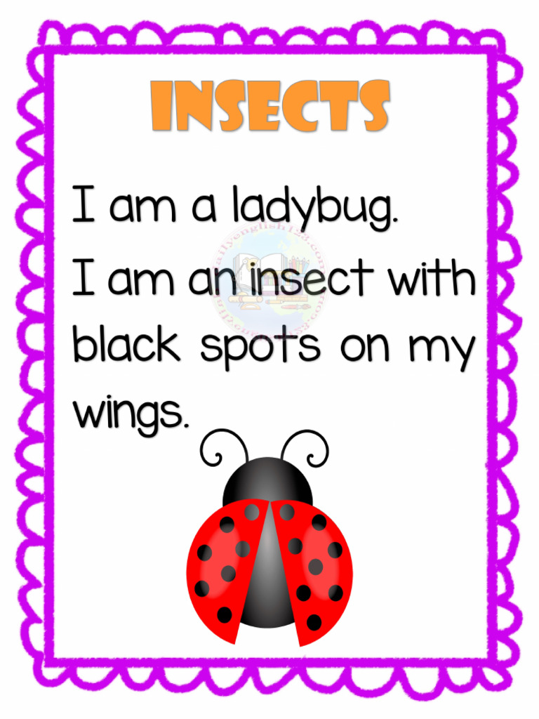 Insects | PDF