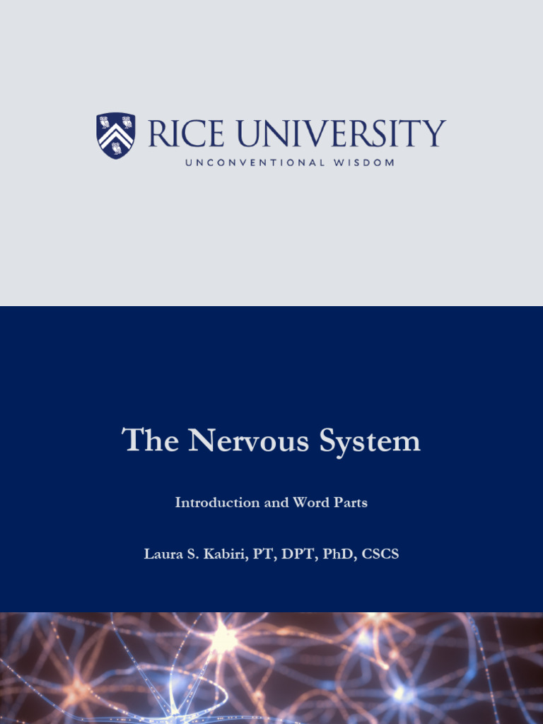 Handout-Nervous Intro and Word Parts | PDF