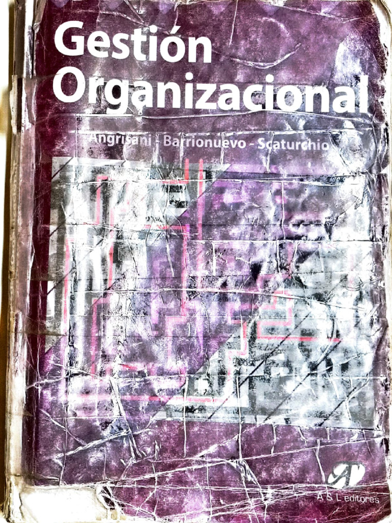 GestinOrganizacional Angrisani Barrionuevo Scaturchio | PDF