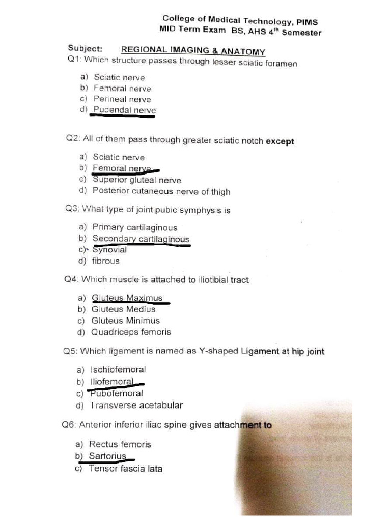 Regional Anatomy CMT Solved | PDF