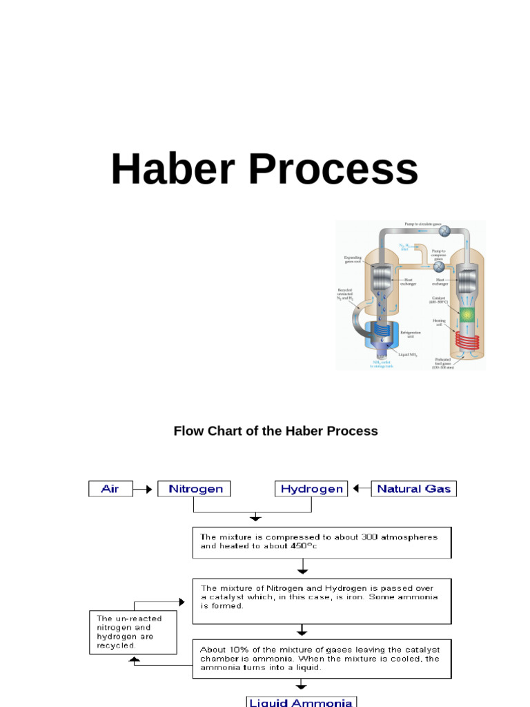 Haber Process PP T | PDF | Ammonia | Reaction Rate