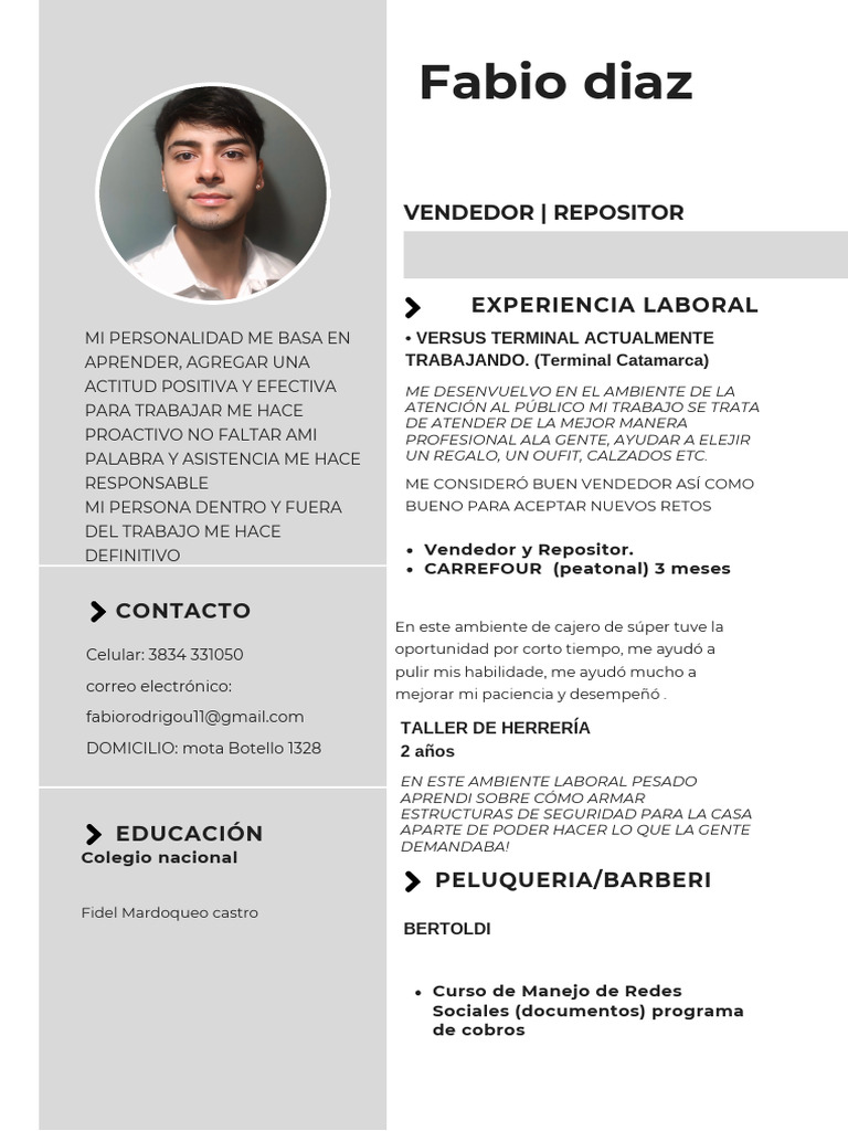 Curriculum Vitae CV Vendedor y Repositor Moderno Gris y Blanco PDF | PDF