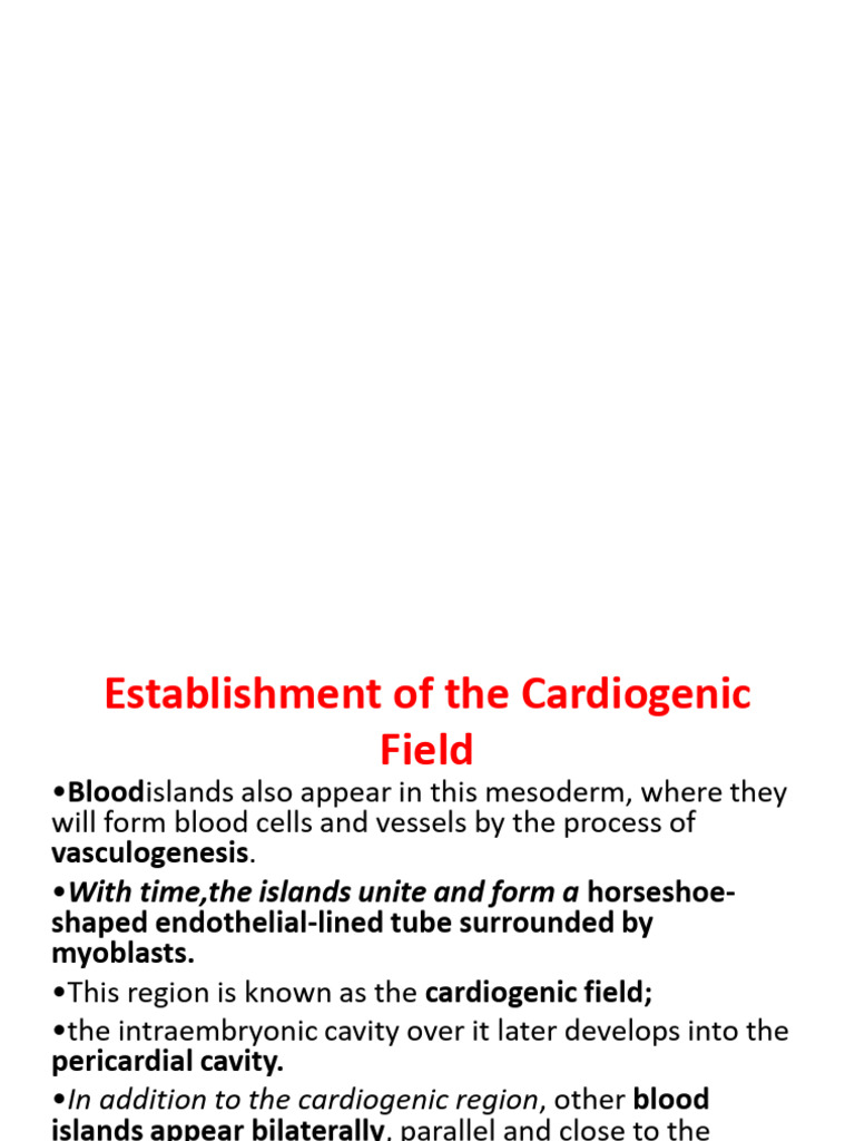 Atrial Septum Development Overview | PDF | Fetus | Atrium (Heart)