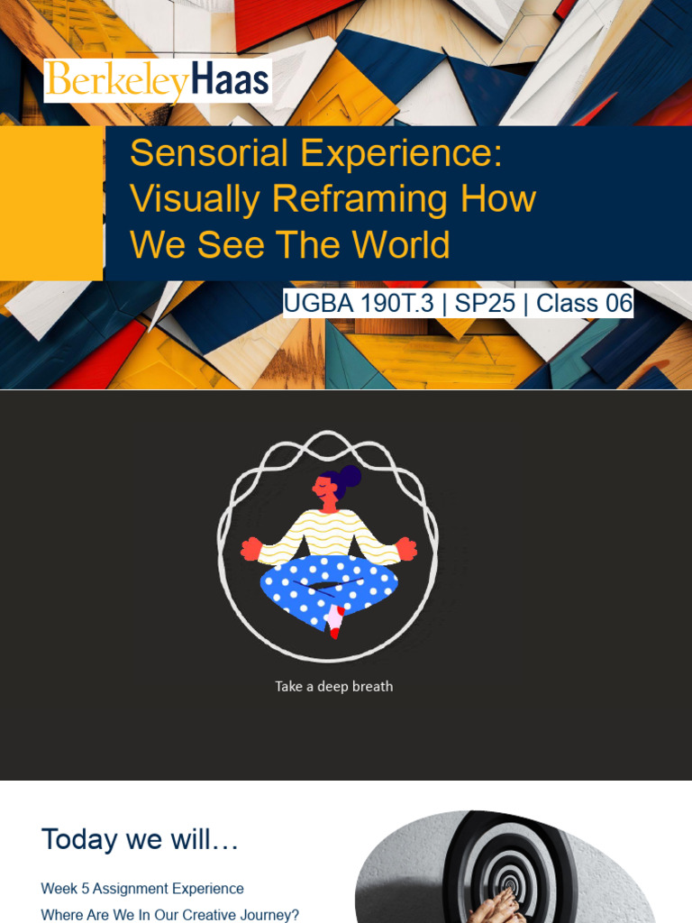 06 - UGBA 190T.3 - SP25 - Visually Reframing How We See The World | PDF | Memory | Mind