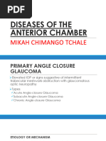 Opera V5.5 - Workstation Setup Guide | PDF | Internet Explorer ...